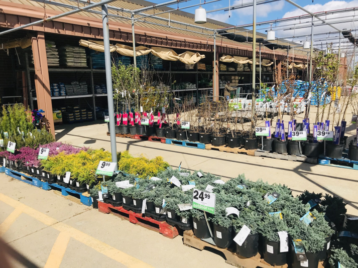 Tree & Shrub Merchandising