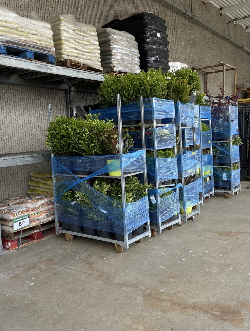 Tree & Shrub Merchandising