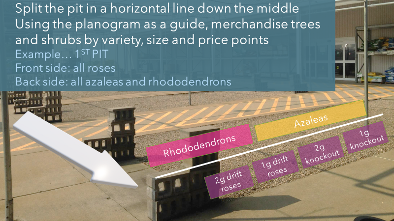 Tree & Shrub Merchandising