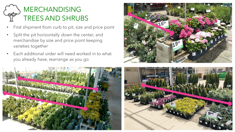 Tree & Shrub Merchandising