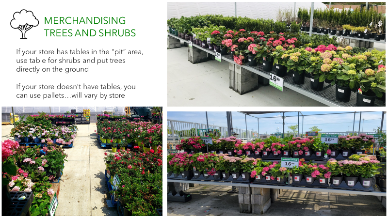 Tree & Shrub Merchandising