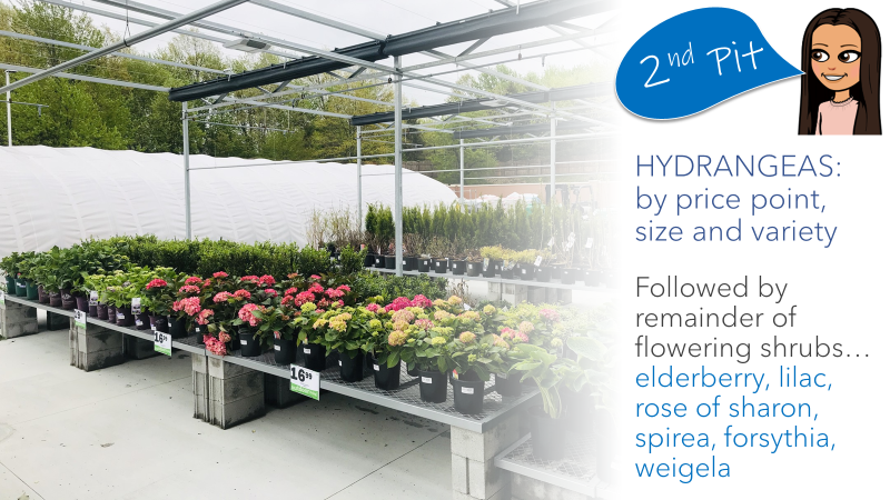 Tree & Shrub Merchandising