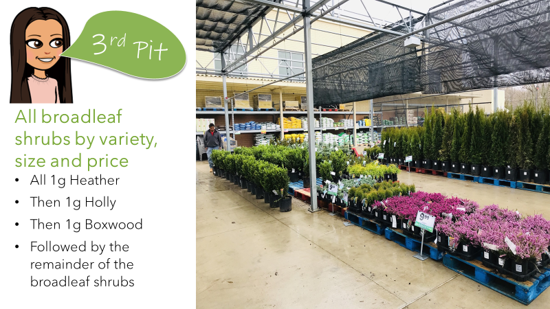 Tree & Shrub Merchandising