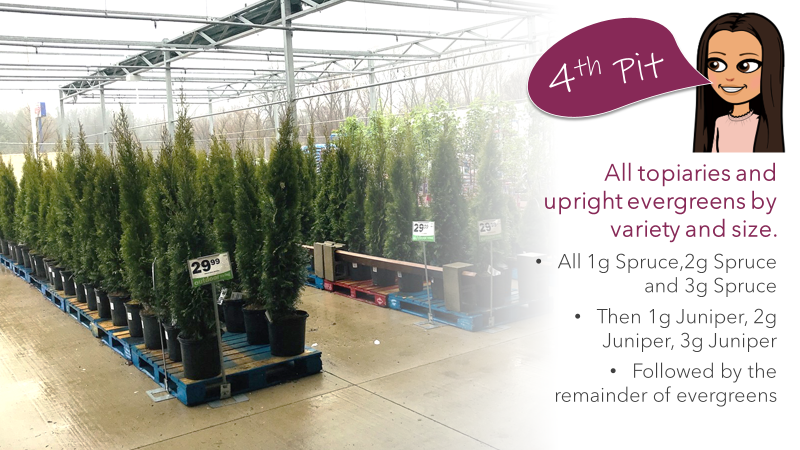 Tree & Shrub Merchandising