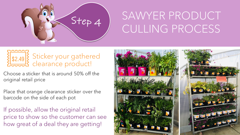 Cull and Clearance Process